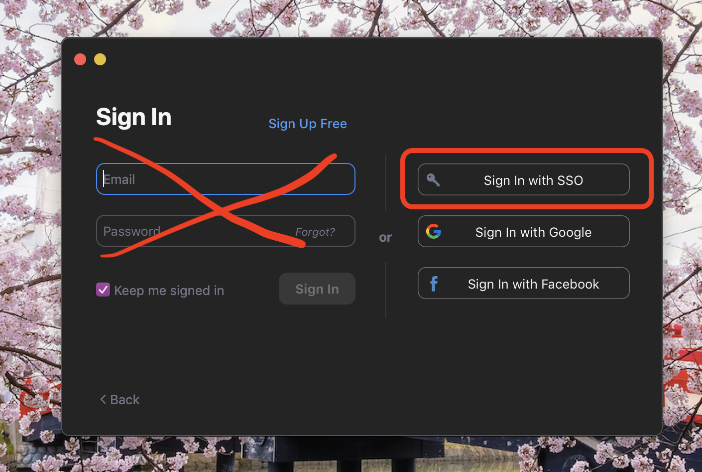 Lab Zoom Tutorials – The University of Chicago Laboratory Schools